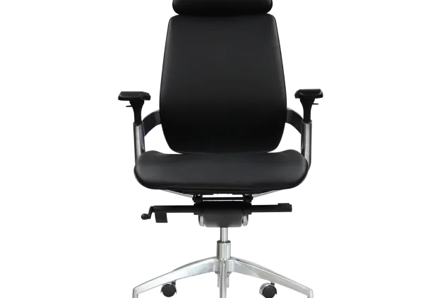 Techno Ergonomic Chair